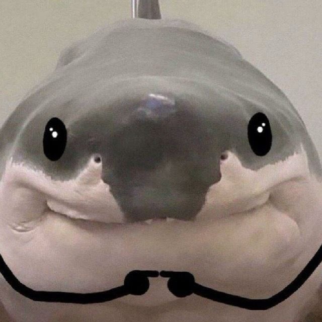 SHARF (SHARF) - Pump