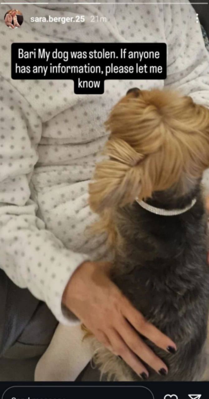 got quants dog (BARI) - Pump