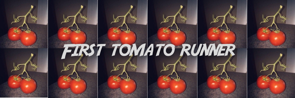 First tomato runner (Tomato) - Pump