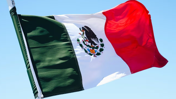 GMGN.AI Fast Trade, Fast Copy Trade, Fast AFK Automation.