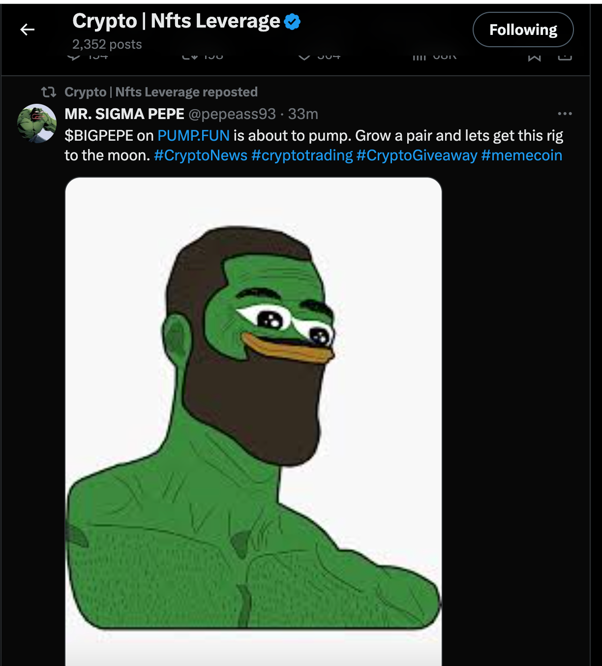 SIGMA PEPE (BIGPEPE) - Pump