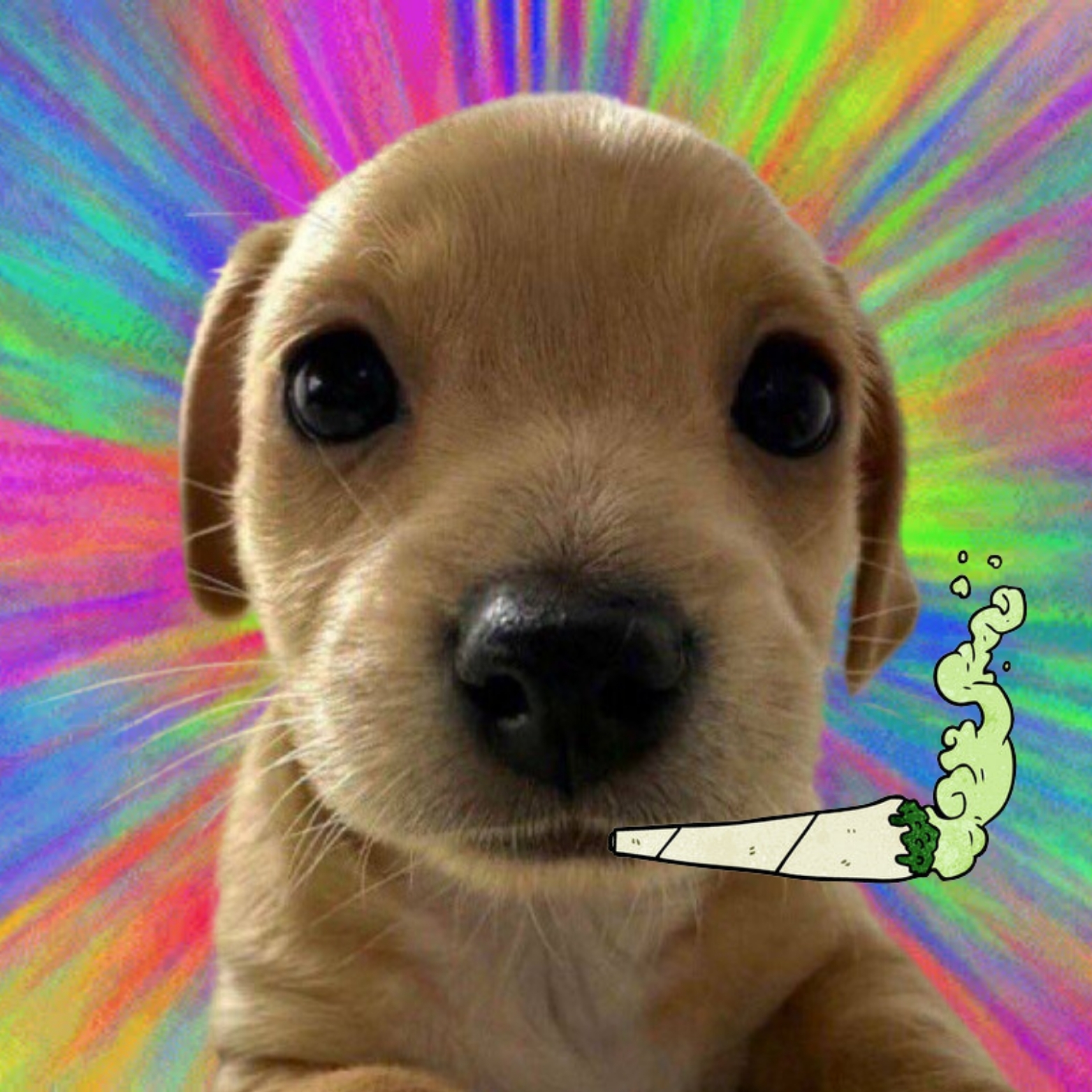 GMGN.AI Fast Trade, Fast Copy Trade, Fast AFK Automation.