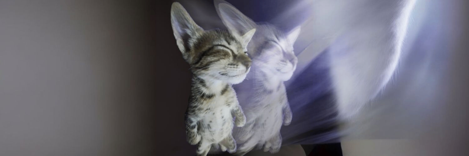 i see the vision (vision) - Pump