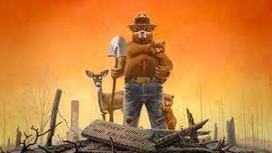 Smokey Bear (SMOKEY) - Pump