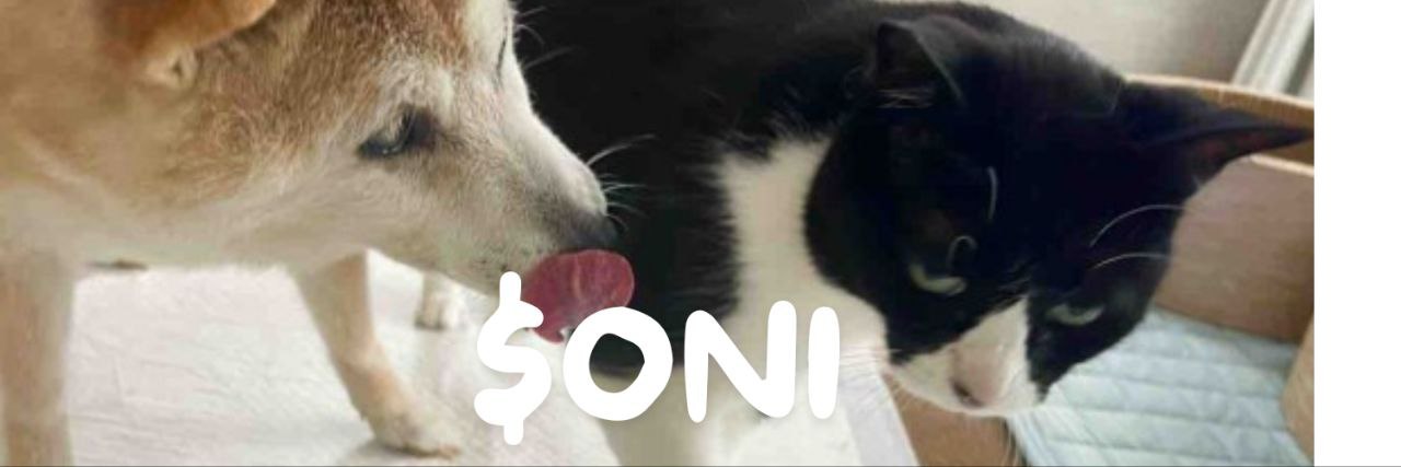 Oni-Chan (Oni) - Pump