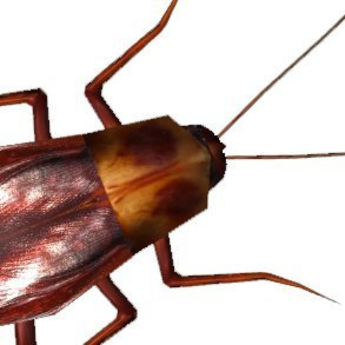 This can't be killed (ROACH) - Pump