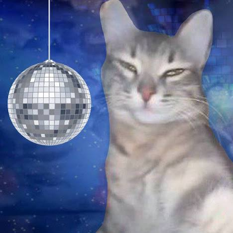 Rizzy the Cat (RIZZY) - Pump