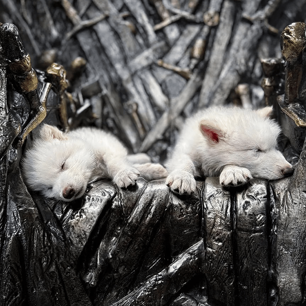 DIRE WOLF PACK (DIRE) - Pump