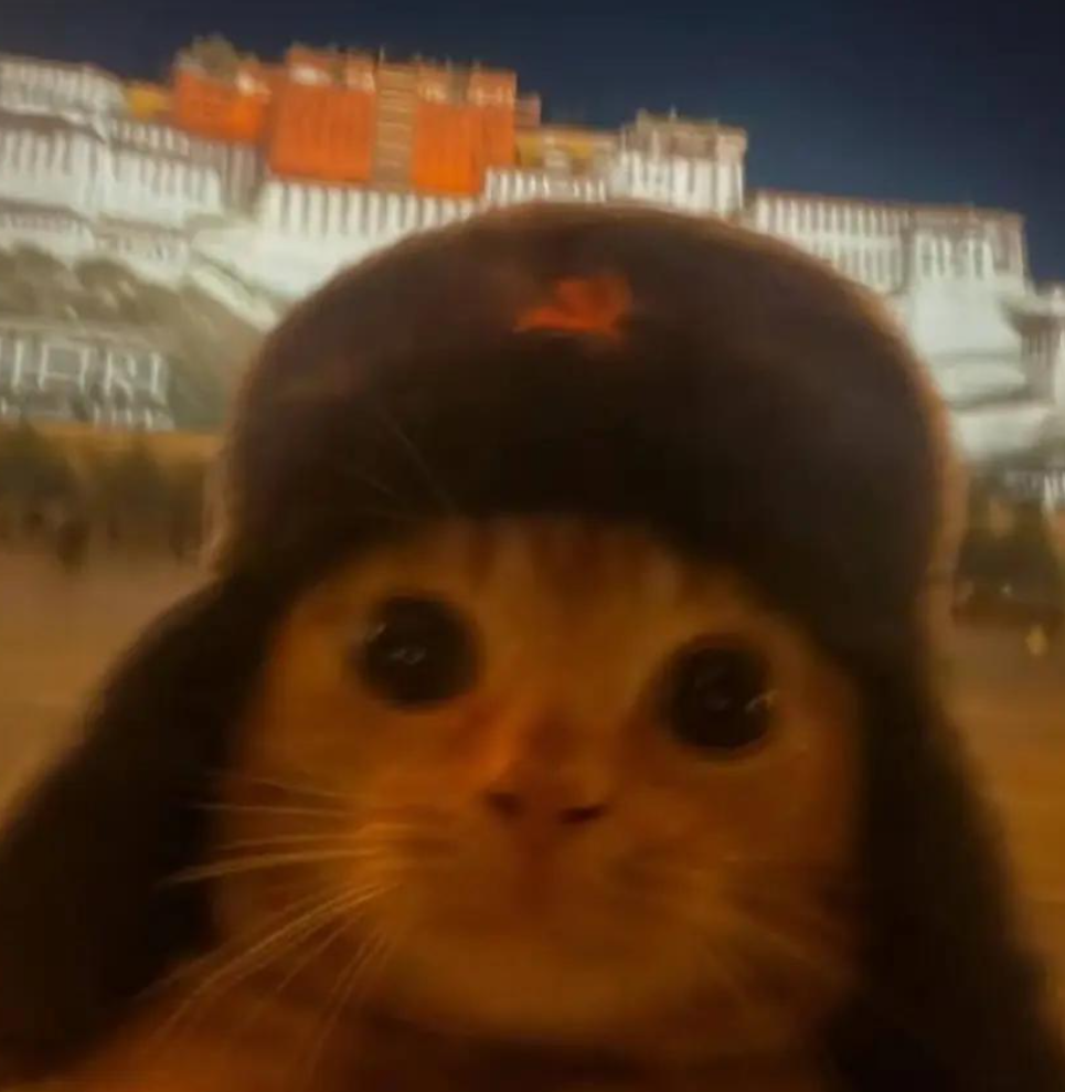 soviet cat (c☭t) - Pump