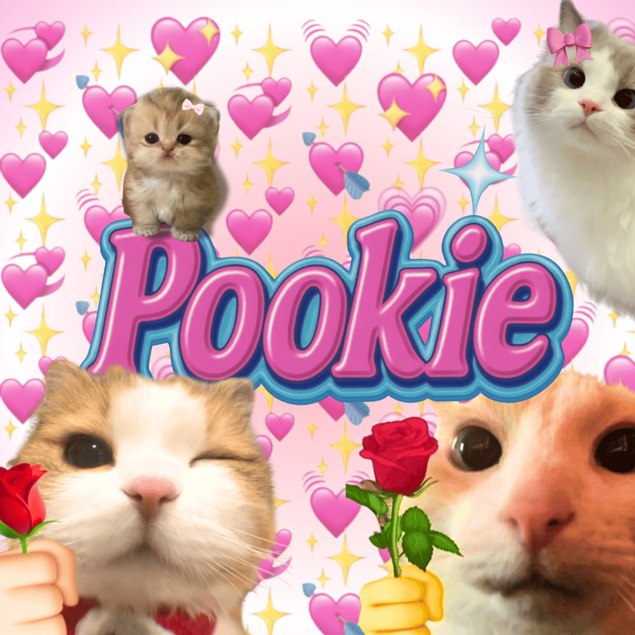 Pookie (Pookie) - Pump